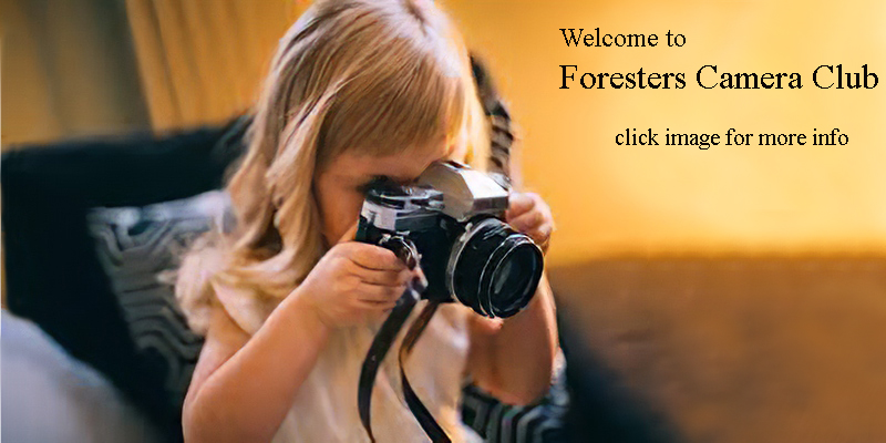 Welcomekid – Foresters Camera Club